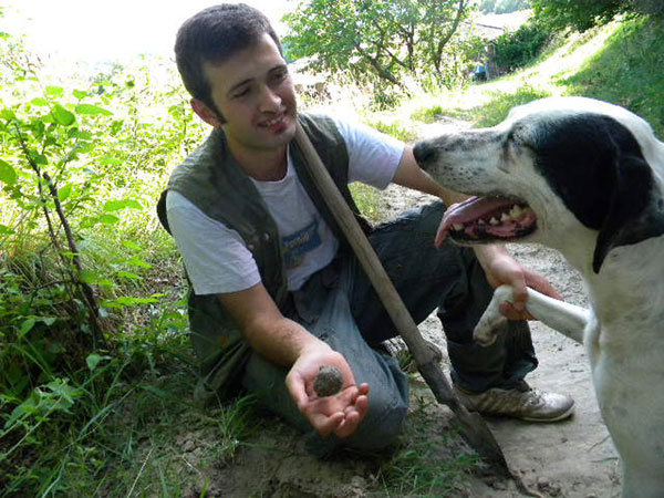 HOW TO TRAIN A DOG TO FIND TRUFFLES |The Garden of Eaden
