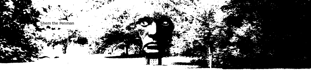 Shem the Penman: Sock 5: Three Skins Without Men, David Firth