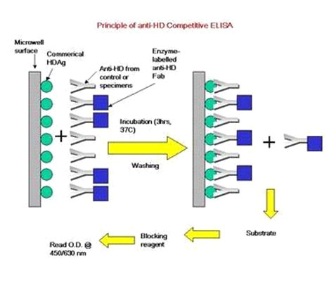 ANALISIS KESEHATAN: Desember 2016