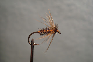 SOFT HACKLES, TIGHT LINES: Red Shiner Fly