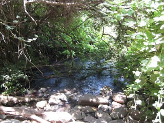 This Week in History: Tel Dan