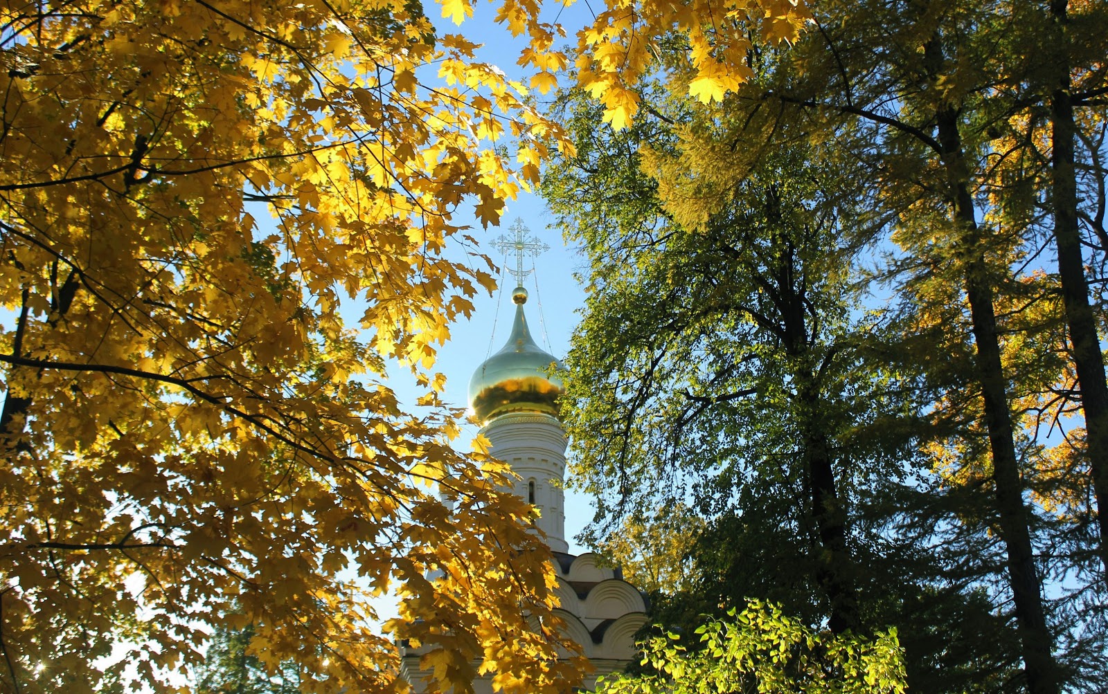 Travel & Adventures: Moscow, Russia, four seasons. The Nature of Moscow ...