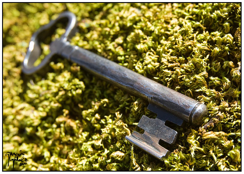 Asociacion Chi de Andalucia: BUSCAR LA LLAVE.