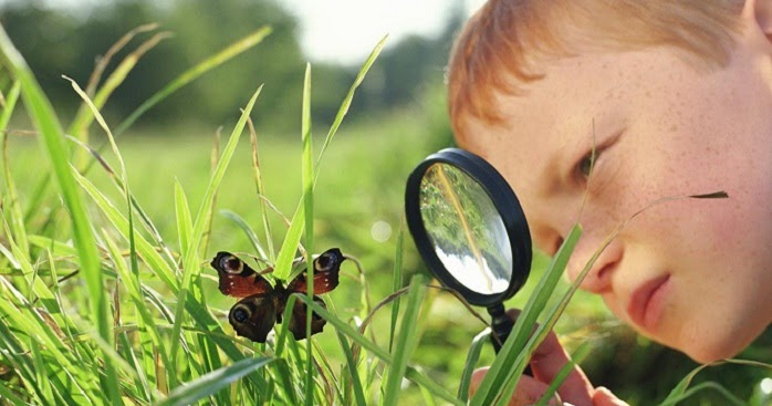 Metode Pengumpulan Data Observasi (Pengamatan)
