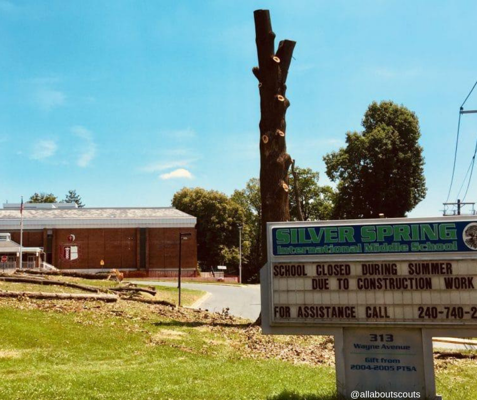 Via Bella: Rose & Kayla Plant Trees for Their Silver Award