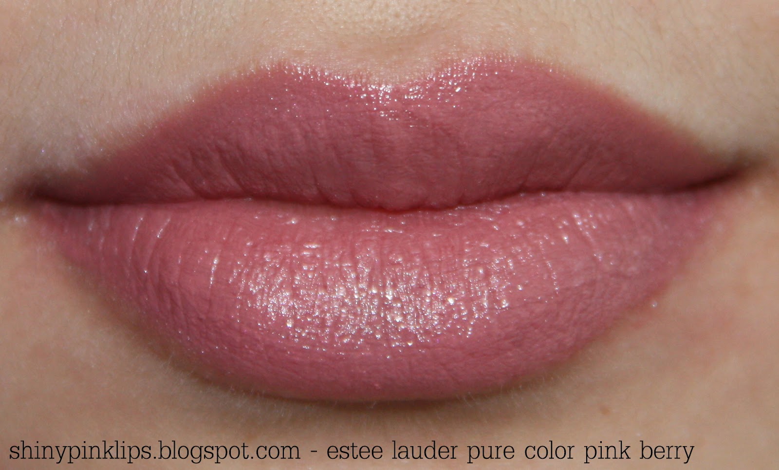 The Blog of Blah Blah by shinypinklips: My Lipstick Collection - Swatches