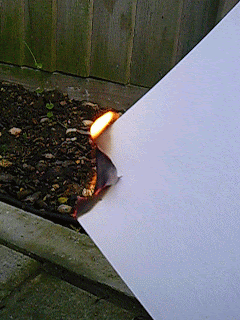 Lauren Carr: Animated Gifs/Jamie Beck.