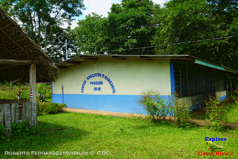Palenque Margarita -San Rafael de Guatuso, Alajuela- | Explore Costa Rica