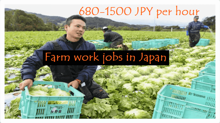 Farm work jobs in Japan