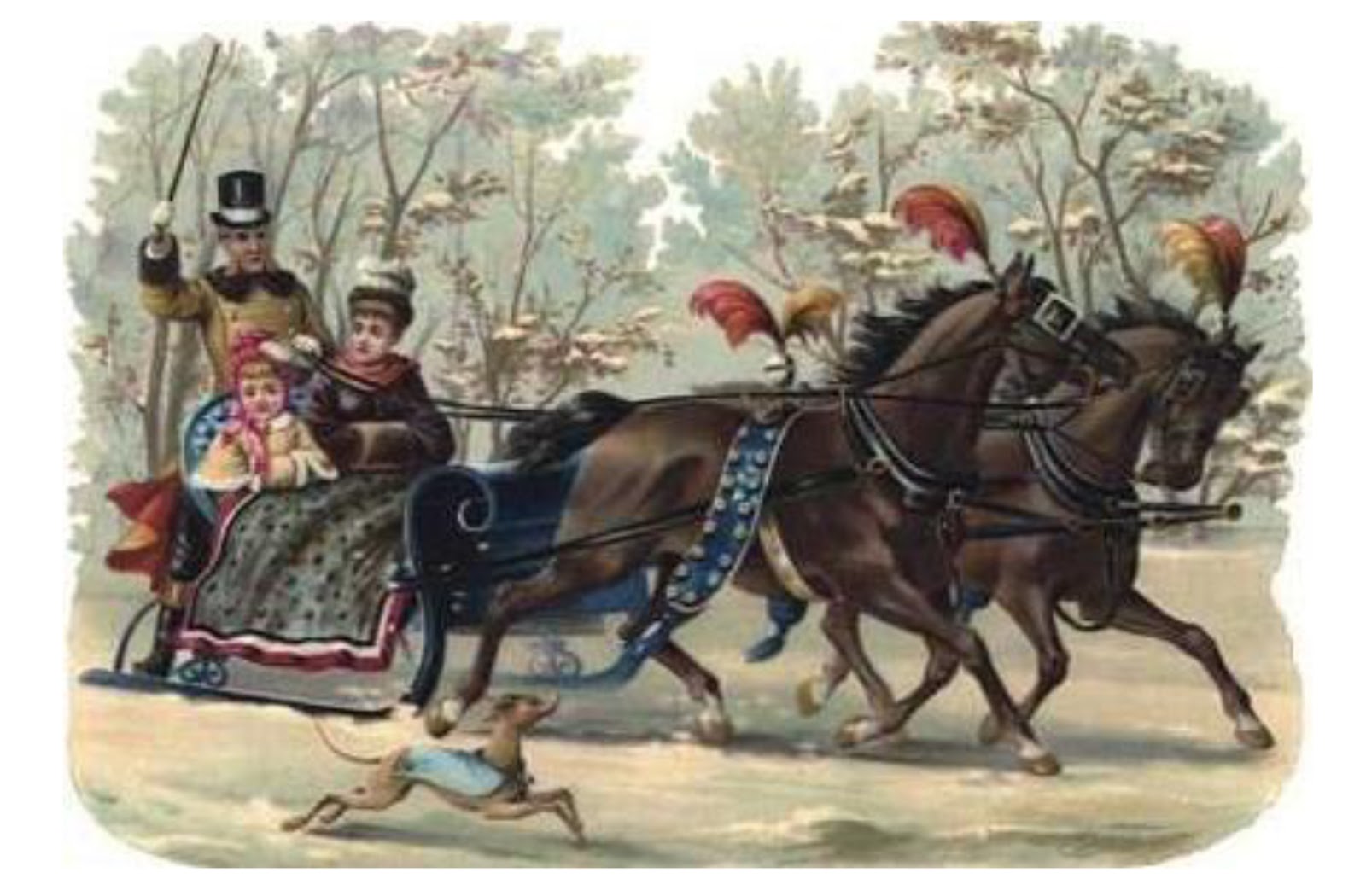 Victorian Roses Ladies Riding Society: August 2016