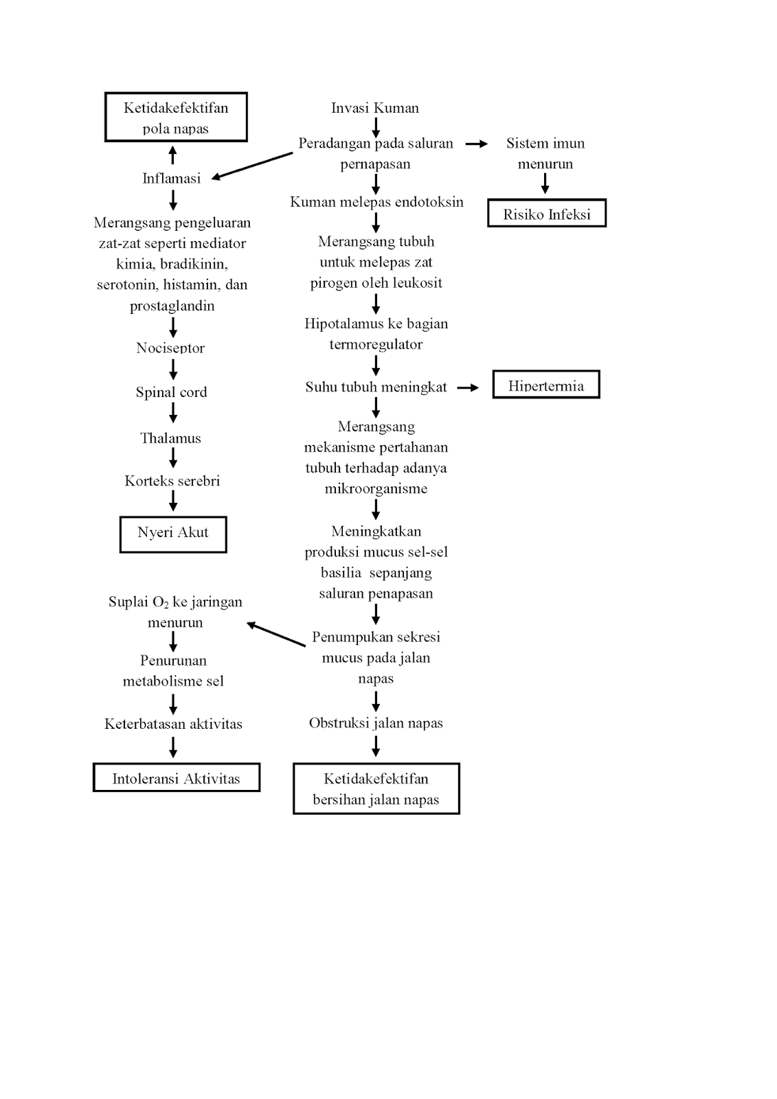 Gudang Belajar: MAKALAH ASUHAN KEPERAWATAN ISPA
