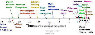 Life Timeline 022811» Vector Clip Art - Free Clip Art Images