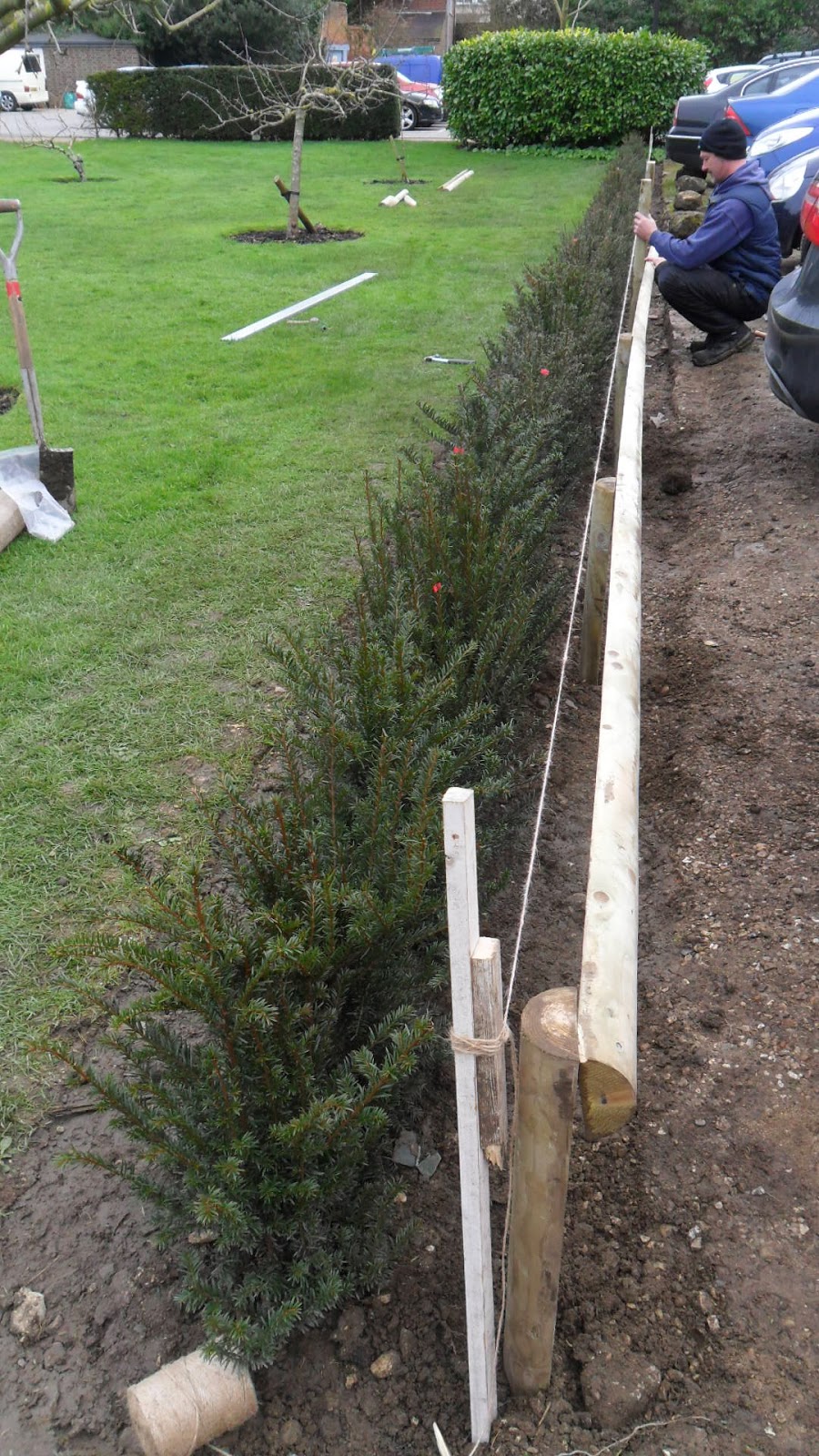 Worcester College Gardeners 2009-2018: Post And Rail Hedge Protection