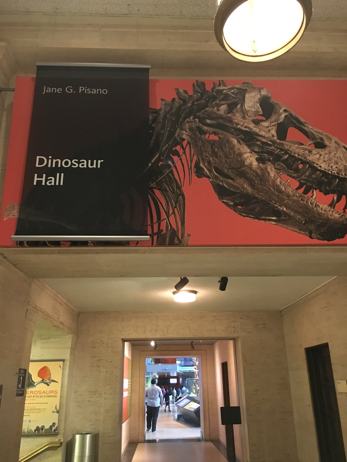 avaaDESMA9: Event 5 (Extra Credit): Dinosaur Hall at the National ...