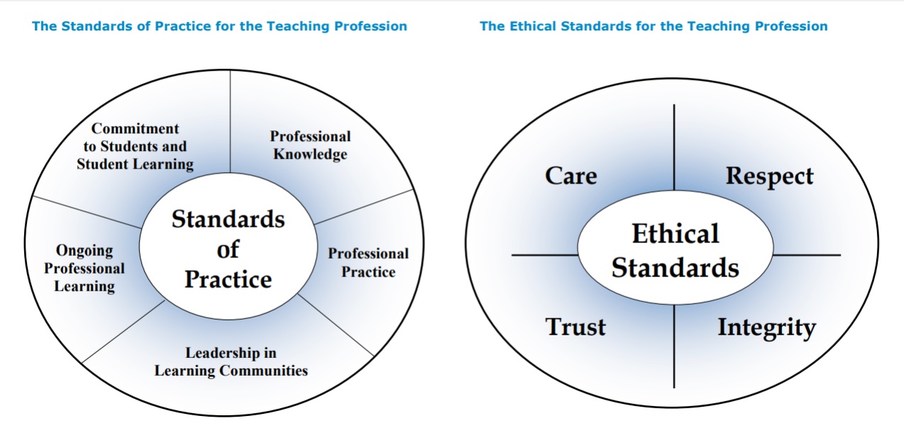 Resource Curation: OCT Standards