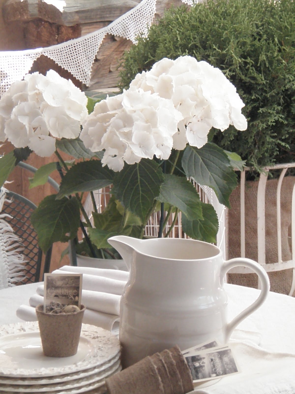 Cabin & Cottage : White Wednesday Patio Party