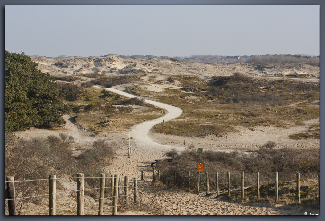 Amsterdamse Waterleiding Duinen (AWD): Lentevreugd en de duinen bij ...