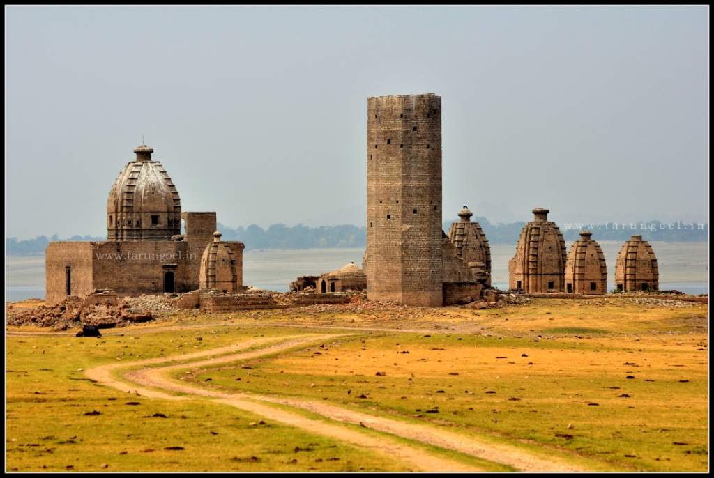 Delayer: Bathu ki ladi- Nature’s best kept secret