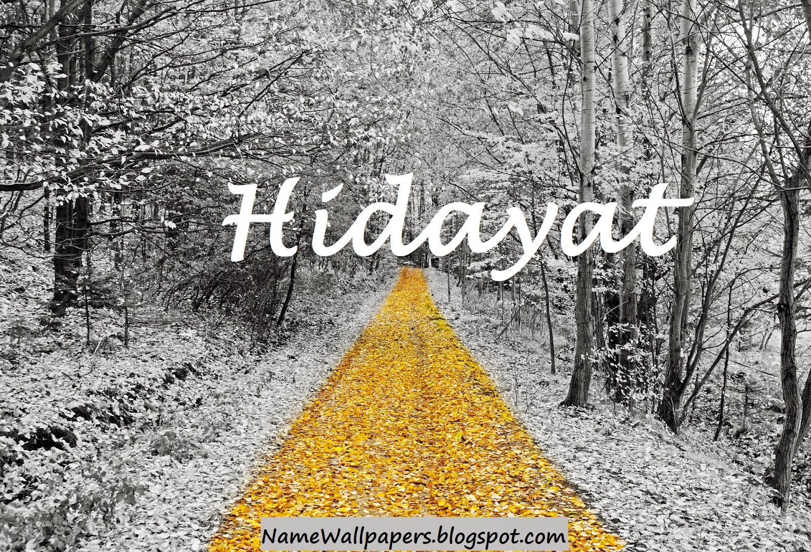 Hidayat Name Wallpapers Hidayat ~ Name Wallpaper Urdu Name Meaning Name ...