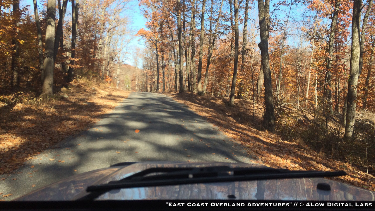 Trip Report: Exploring Buchanan State Forest (Take 2) – East Coast ...