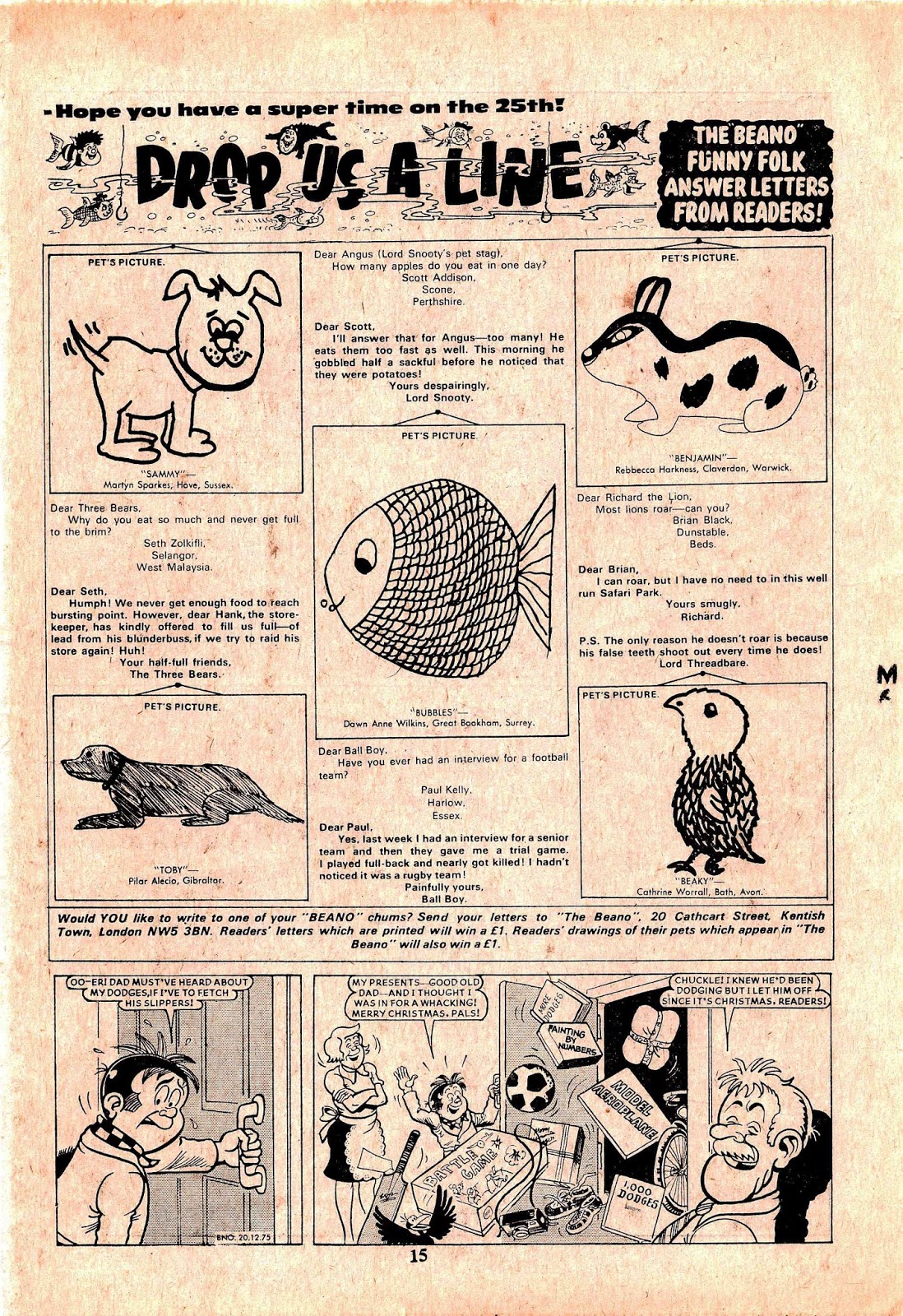 Peter Gray's Comics and Art: The first two Roger the Dodgers by Frank ...