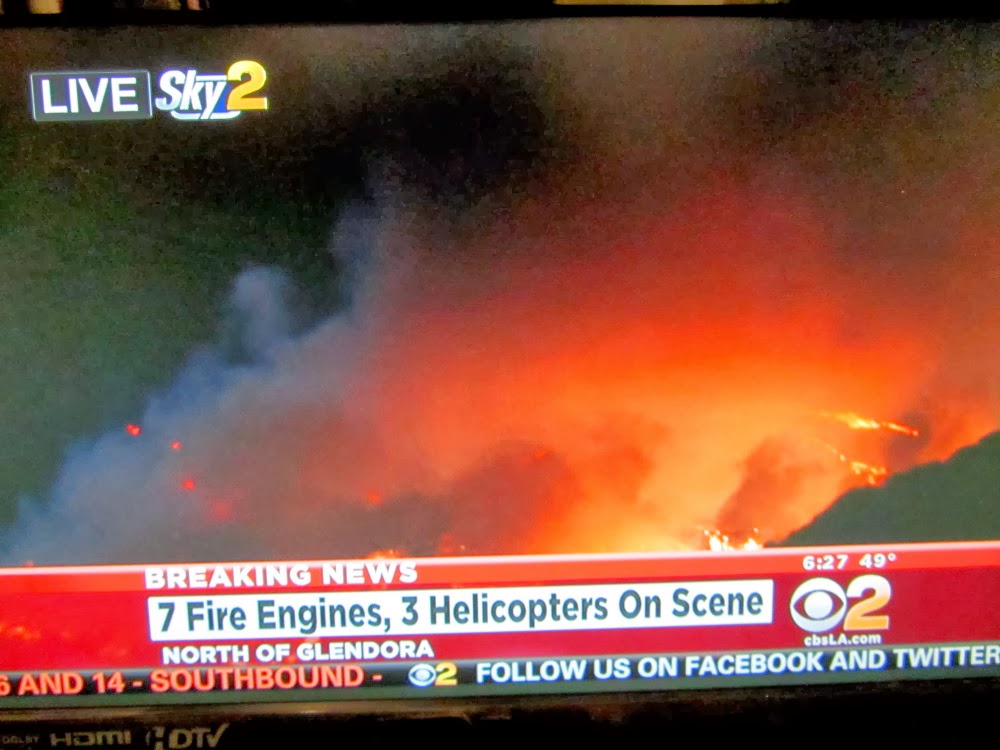 Dan's Hiking Blog: Colby Fire - January 16, 2014