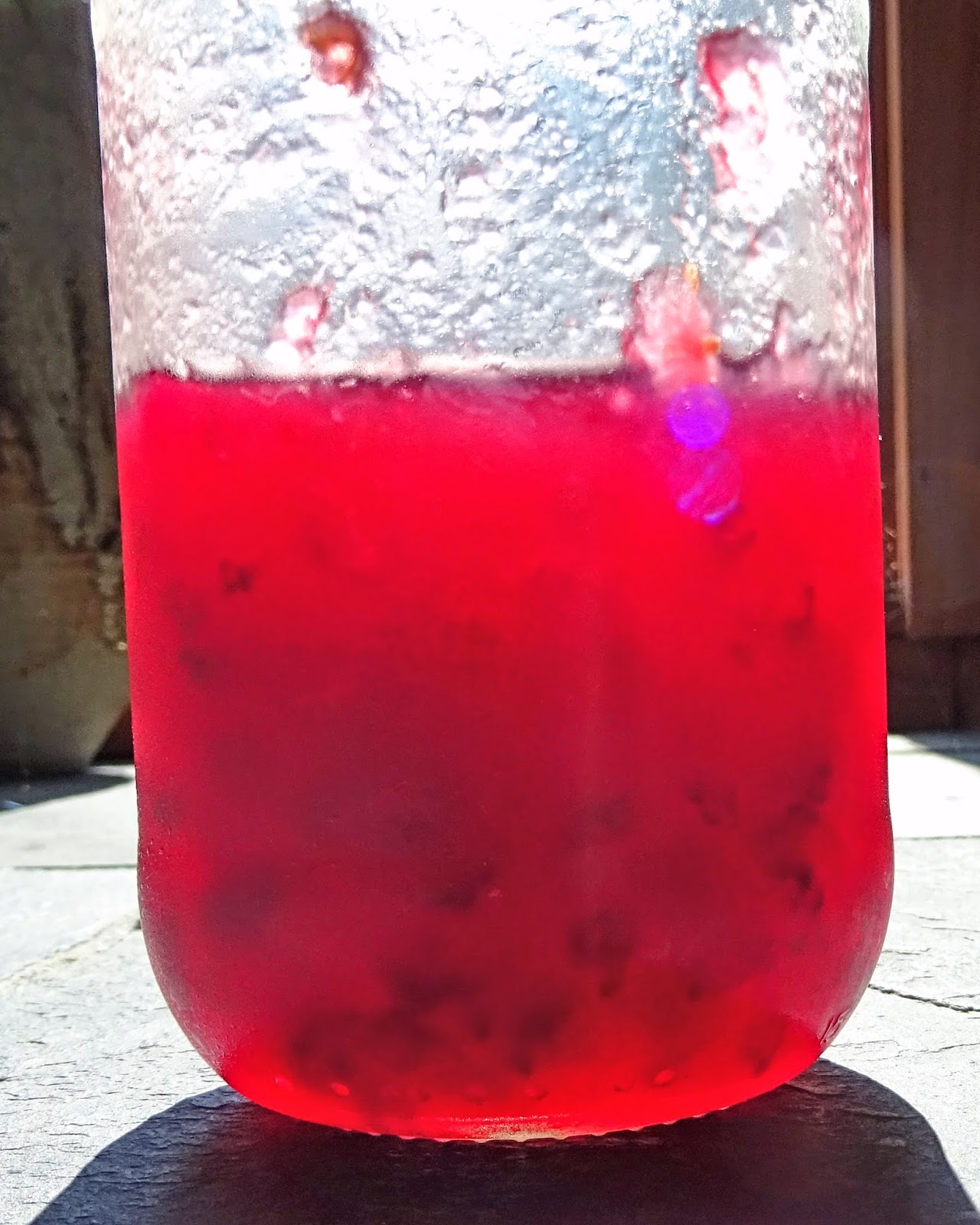 Shoalhaven Foodies: Lilli Pilli Jam