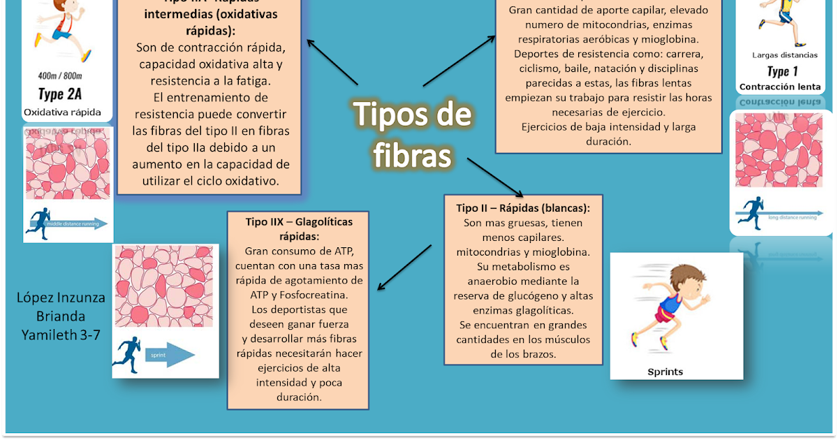 BLOG DE FISIOLOGIA BASICA UAS ciclo 2018-2019 de BRIANDA LÓPEZ INZUNZA ...