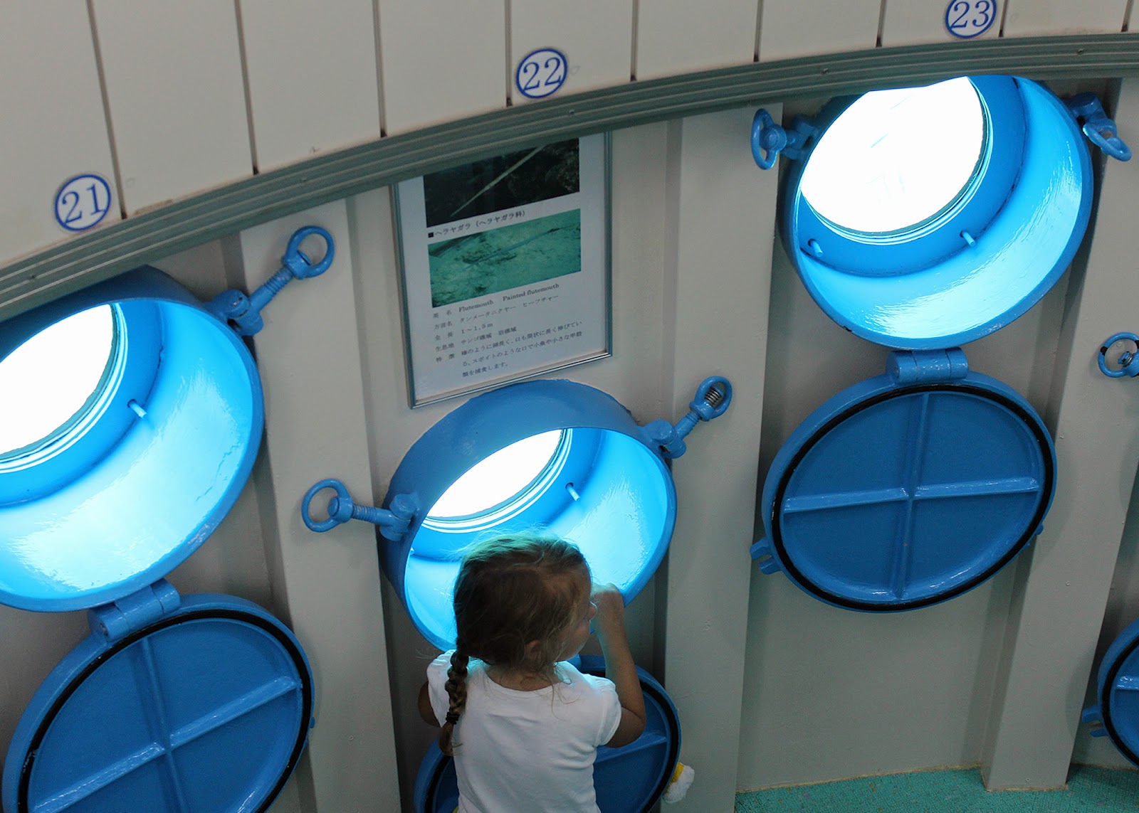 Enjoying Life With 4 Kids: Busena Underwater Observatory