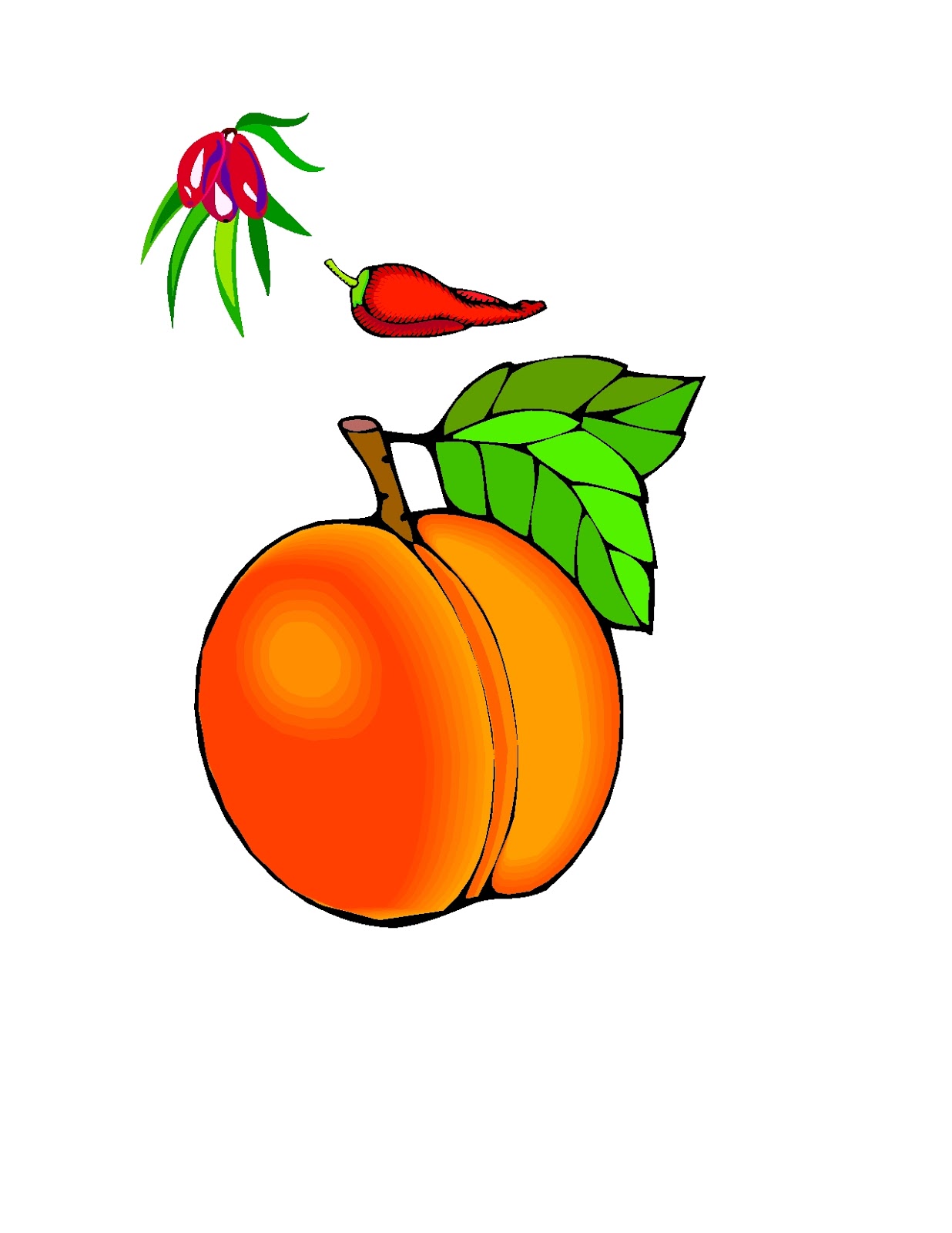 PLANSE colorate cu Fructe si Legume :: Fise de lucru - gradinita si scoala