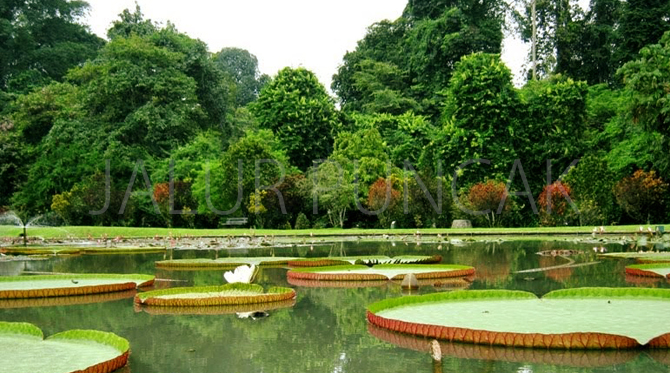 Kebun Raya Bogor ~ Jalur Puncak - Ada Villa Ada