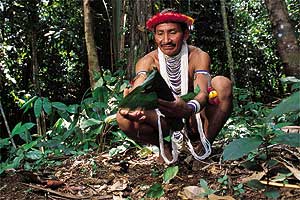 CIVILIZACIONES INDIGENAS: YARUROS: En Vía de Extinción