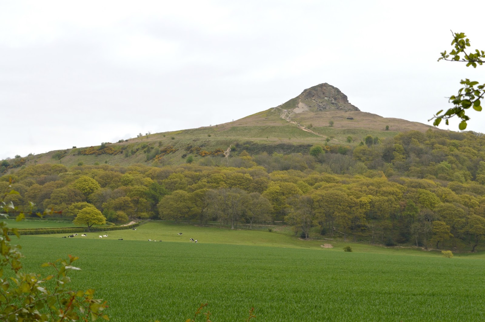 Climbing Roseberry Topping, North Yorkshire | New Girl in Toon
