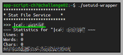 Root me write-up : Perl - Command injection - Cybersecurity Guide