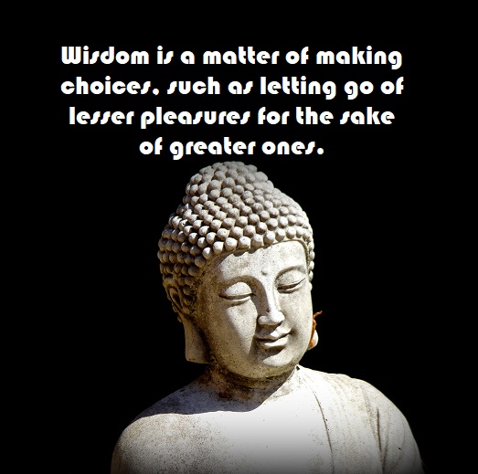 63 Marvellous Quotes from Buddha's Brain by Rick hanson