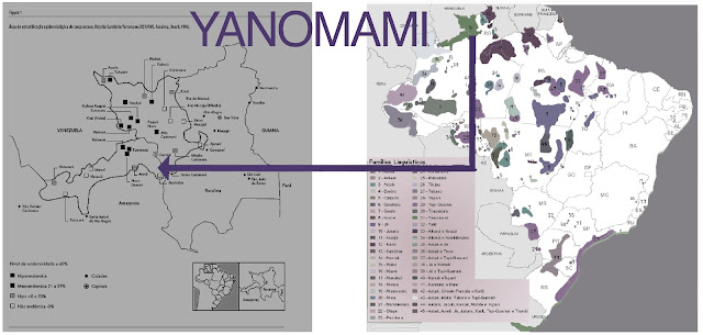 Povos Indígenas Brasileiros: Yanomami