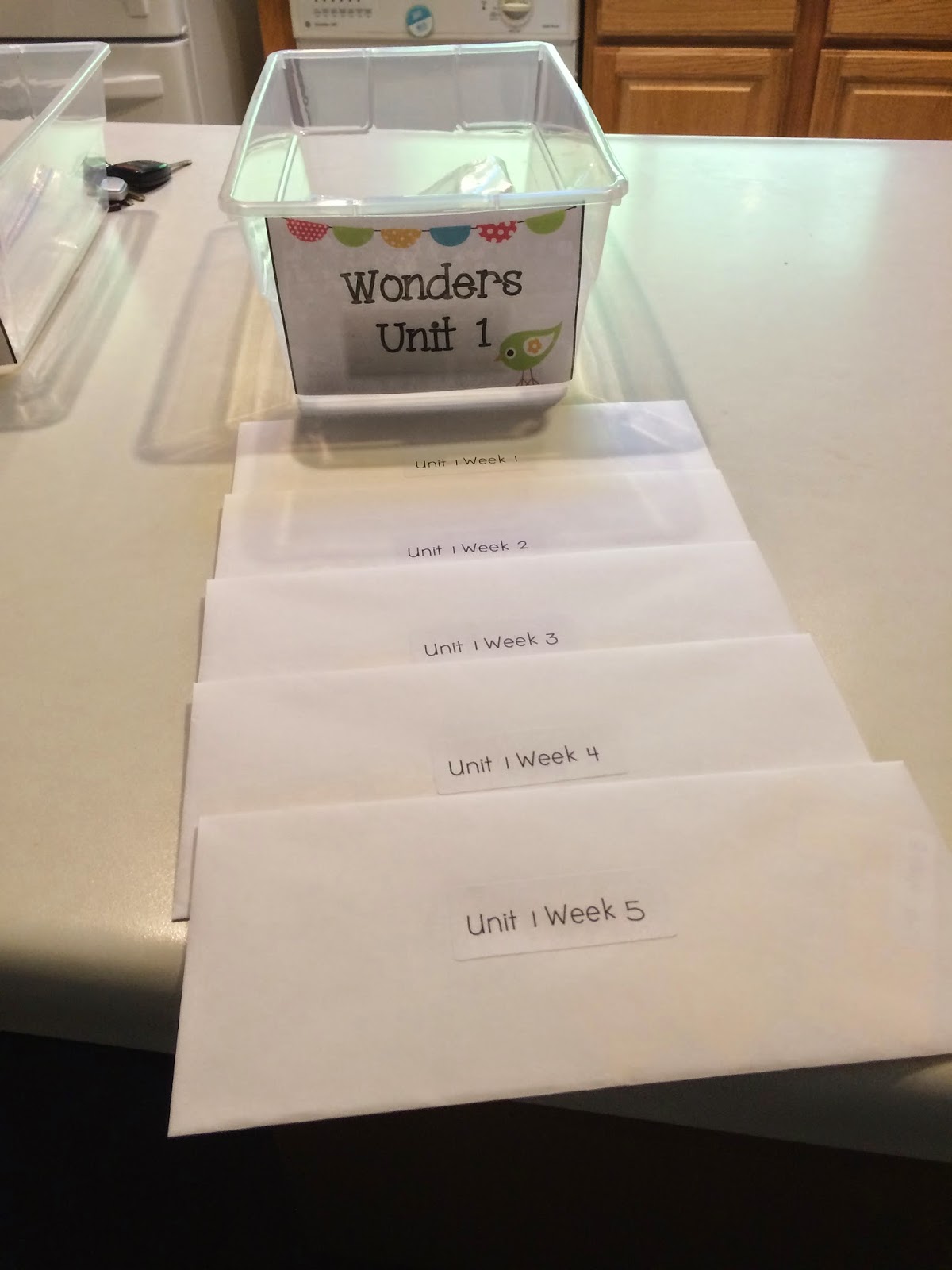 Fishin' In First: McGraw Hill Wonders for First Grade