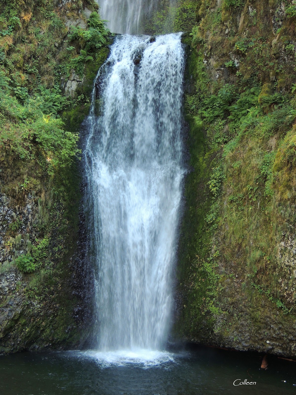 The Turn-Up Patch: Legend, Fact and Beauty of Multnomah Falls