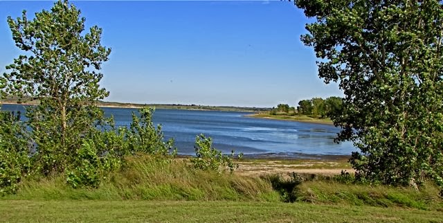 Travel With Whippets: Minooka Park