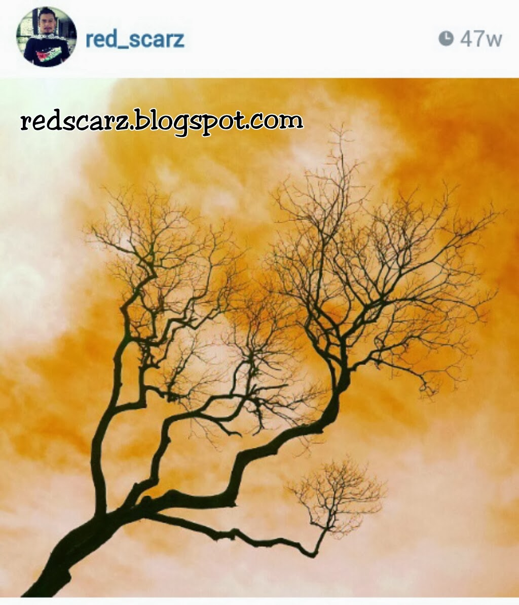 DAUS REDSCARZ: Aku & S2 Part 16 :: Pokok dan Ranting