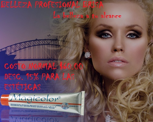 BELLEZA PROFESIONAL "BRISA": TINTE MAGICOLOR