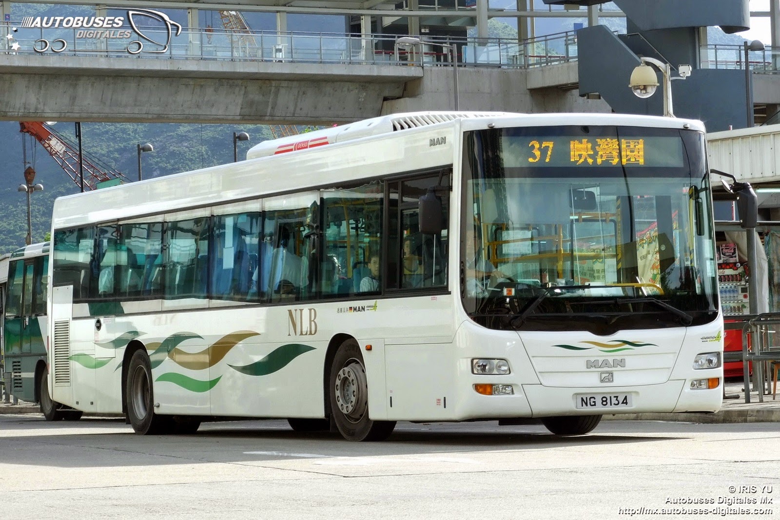 Hong Kong City Buses || Autobuses Urbanos en Hong Kong @ Autobuses ...