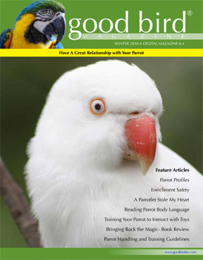 Barbara's Force Free Animal Training Talk: Magazine for Parrot People ...