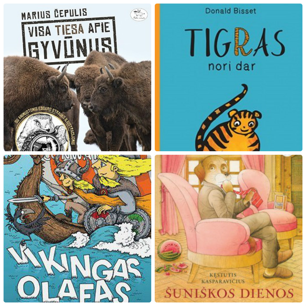 Jonučių progimnazijos biblioteka: Leidyklos "Nieko rimto" dovanos ...