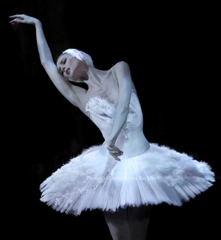 Revista El Bosco: Maria Helena Buckley