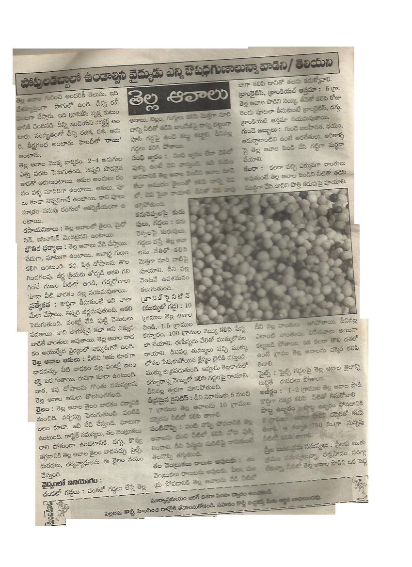 AYURVEDAM - ఆయుర్వేదం: THELLA AVALU ( WHITE MUSTARD ) - AYURVEDAM