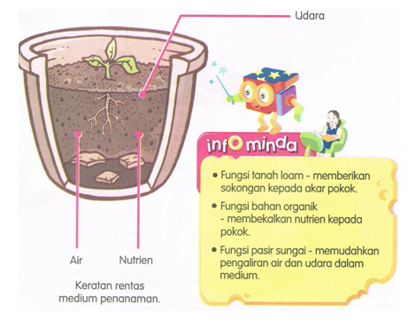 Hijau Bumi Tuhan: 3.0 Penanaman Pokok Tanaman Hiasan