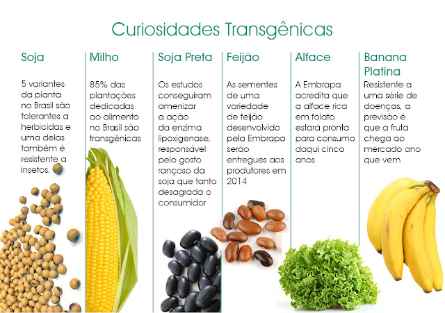 OGMs - Organismos Geneticamente Modificados: Alimentos transgênicos ...