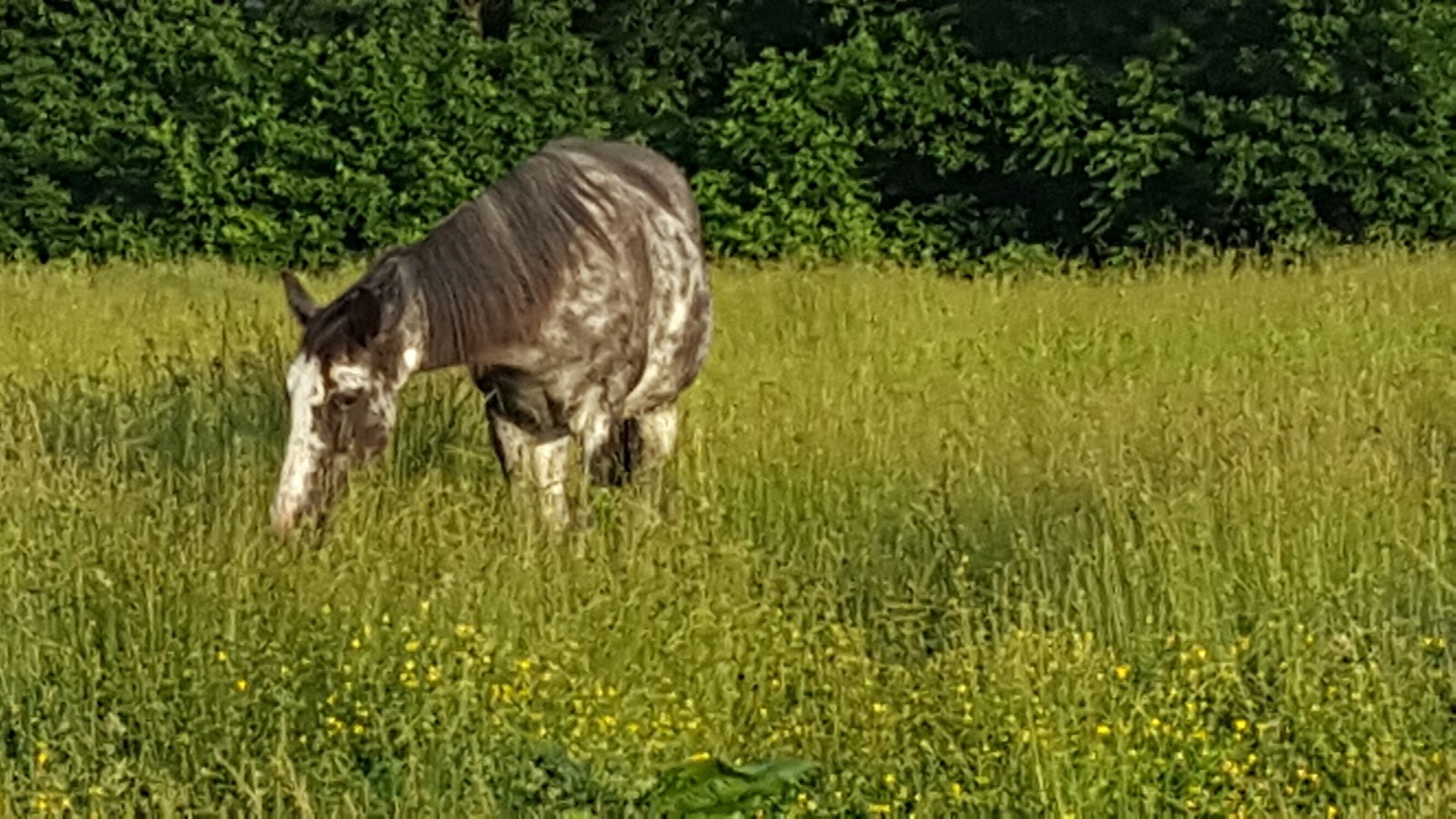 Small But Significant