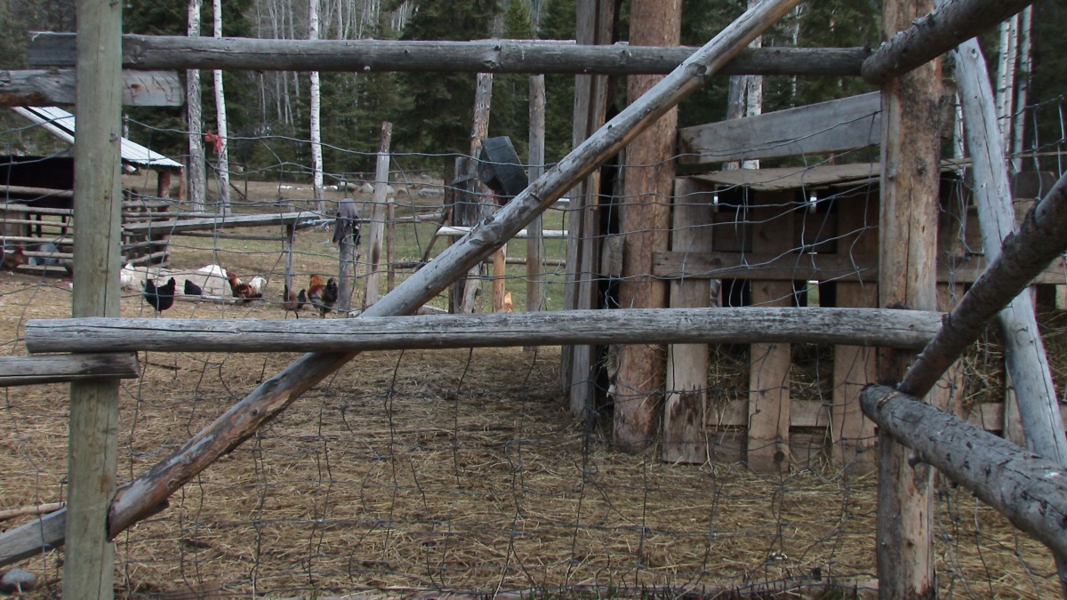 Off-grid on a Northern Goat Farm: Fences, Partitions, and Gates